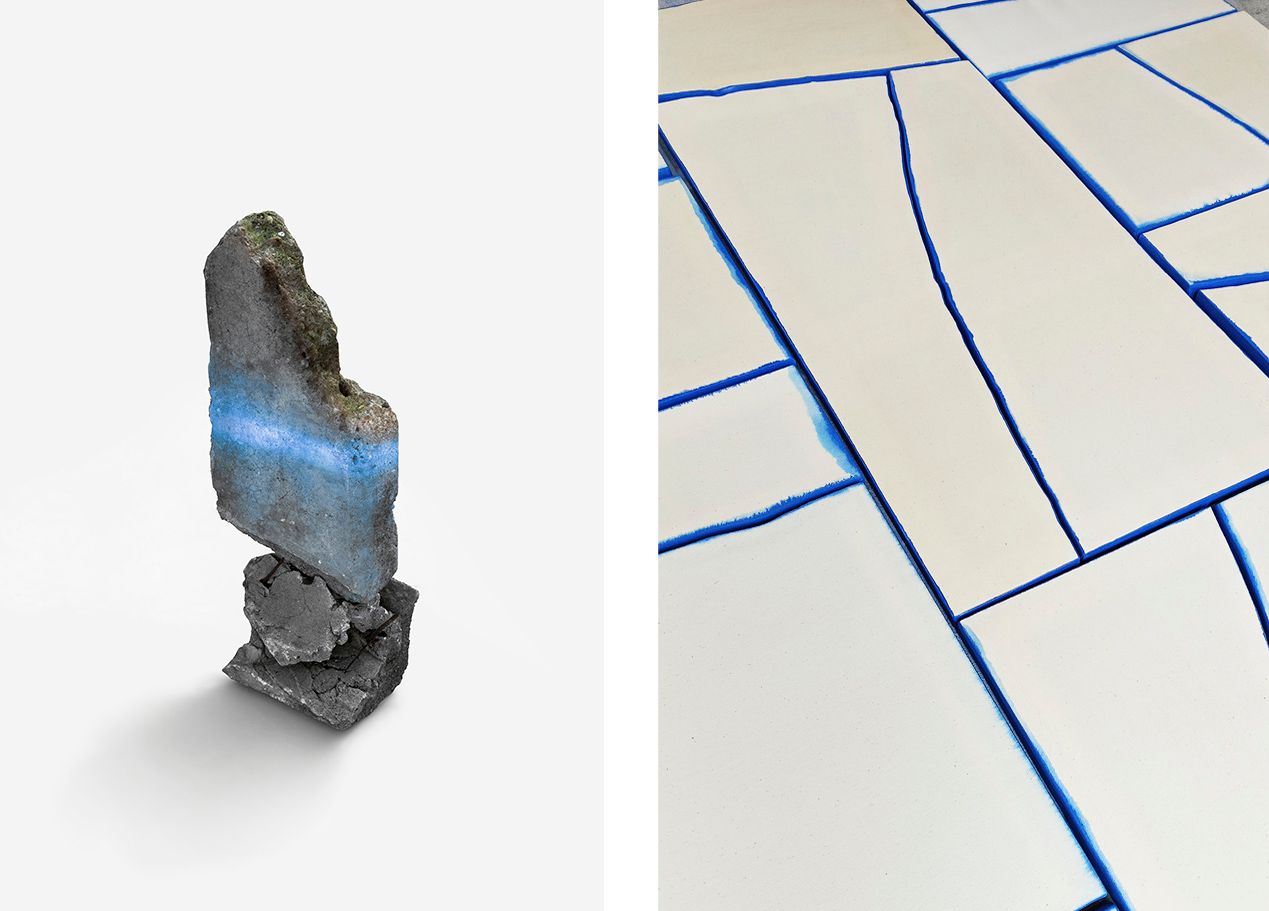 Geotaxis a vásznon - Hogyan mozog a sejt a gravitáció hatására ...